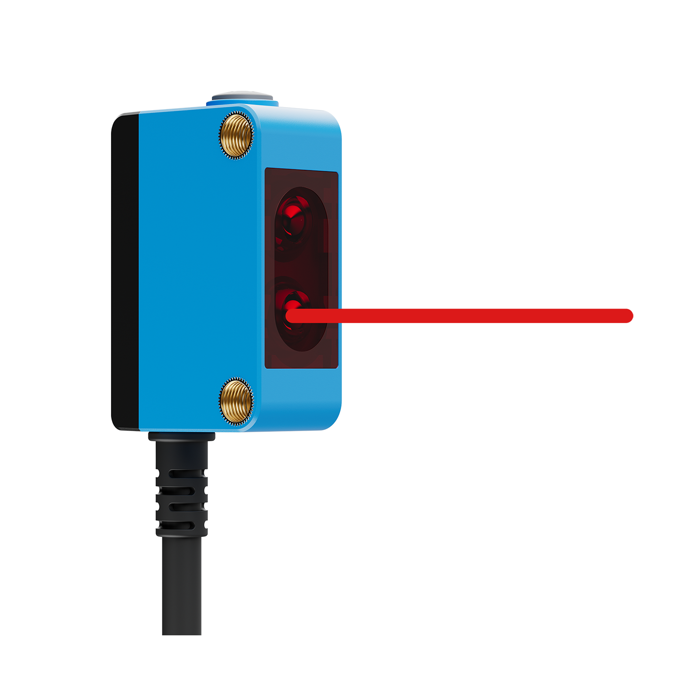 WTX Vision Technology